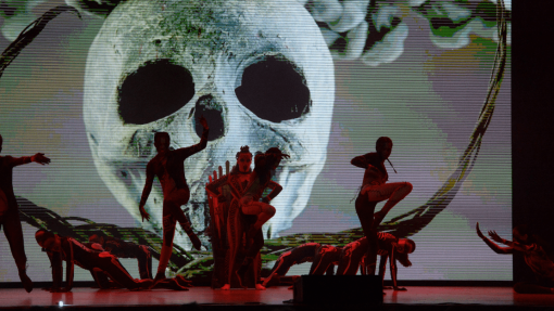 Dance Live! Studio Edition | Portsmouth Guildhall